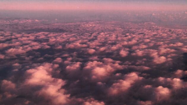 Asia Mackay - Professional Writing Academy