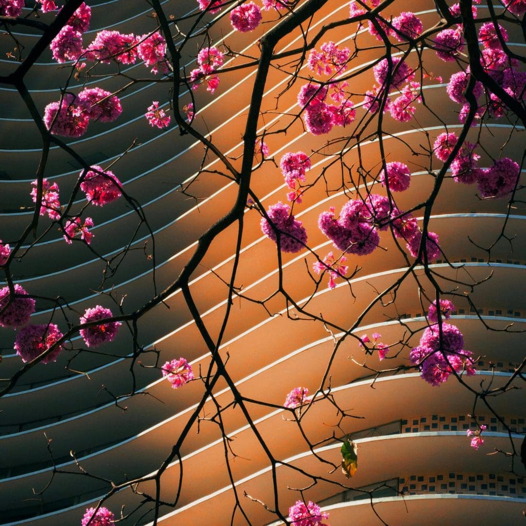 Articles - Professional Writing Academy